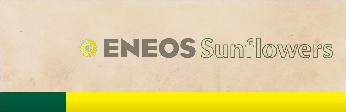 ENEOSサンフラワーズ チームロスター | チーム紹介 | WJBL（バスケットボール女子日本リーグ）公式サイト